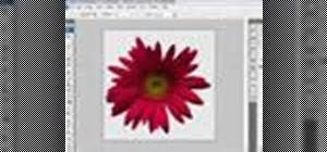 How To Create A Simple Morph Effect With Adobe After Effects After Effects WonderHowTo