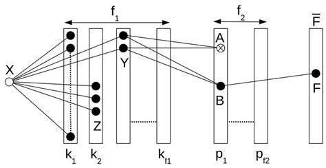 Right General Cnn N With Biases Left Corresponding Multipartite Download Scientific Diagram