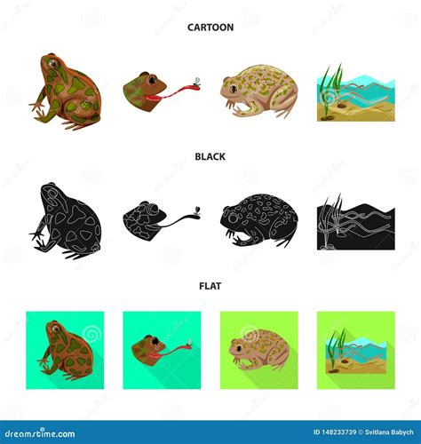 Isolated Object Of Wildlife And Bog Icon Set Of Wildlife And Reptile