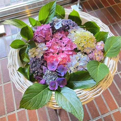 見惚れる♡ ピアニスト古瀬安子のブログ