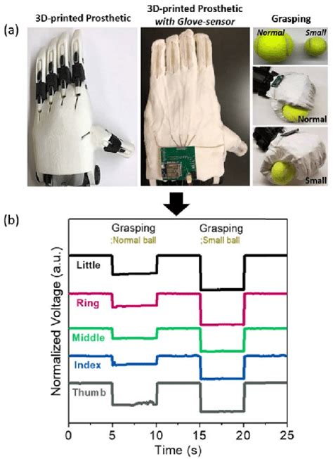 Wearable Applications Of Full Sized Glove Sensor 3d Printed Prosthetic