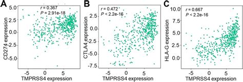 The Correlation Diagram Between Tmprss4 And Expression Of Download