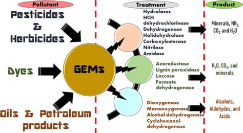 Stem Loop Hairpin Loop Properties Types Examples Uses Bioteck Ink