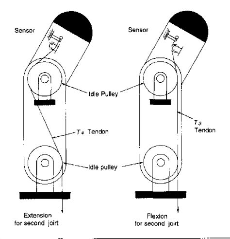Tendon Driven Robot Semantic Scholar