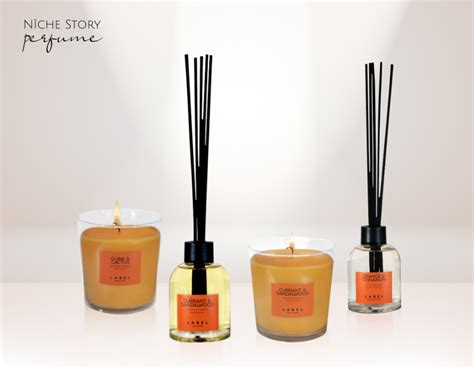 A Basic Guide To Reed Diffusers Blog Niche Story