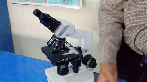 Parts And Functions Of Binocular Microscope At Patricia Bartholomew Blog