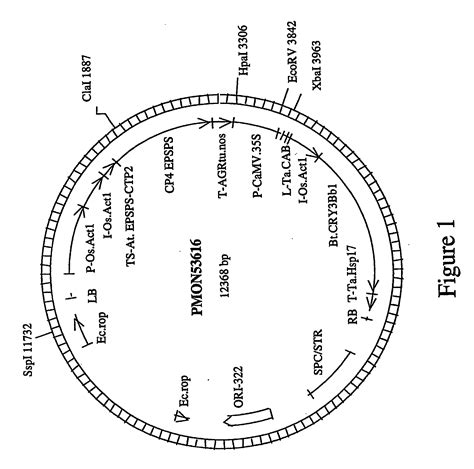 dna detection patented technology retrieval search results eureka