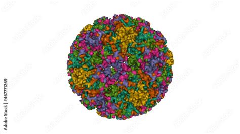 Structure Of Human Papillomavirus Type 59 L1 Virus Like Particle Animated 3d Gaussian Surface