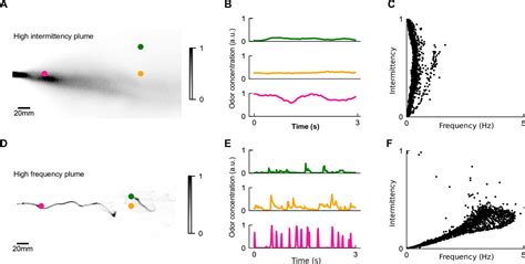 Figures And Data In Sensing Complementary Temporal Features Of Odor Signals Enhances Navigation