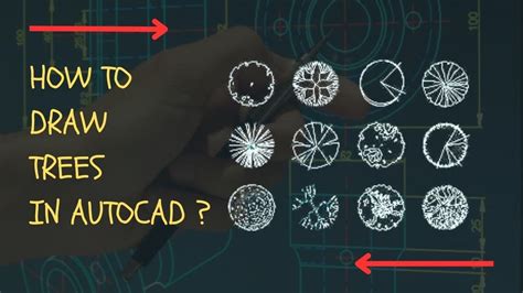 Autocad Tree Blocks All Tree And Plants Blocks】landscape Design Cad