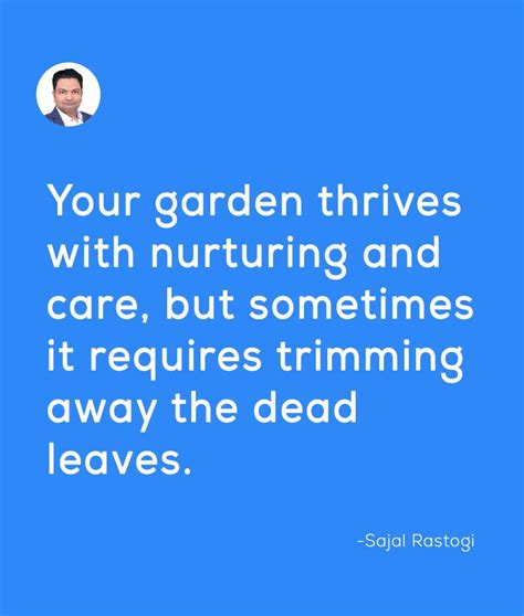 Sajal Rastogi On Linkedin And This Isnt Only About The Garden