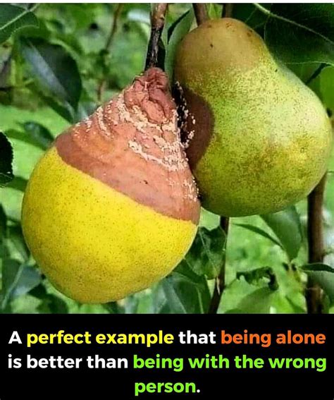 Sujeet Kumar Yadav On Linkedin Exactly