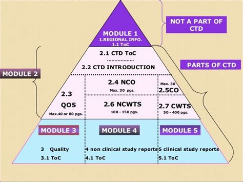 Common Technical Document
