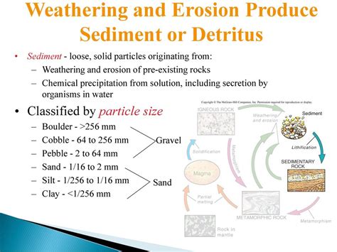 Sediment And Sedimentary Rocks Geology Ppt Download