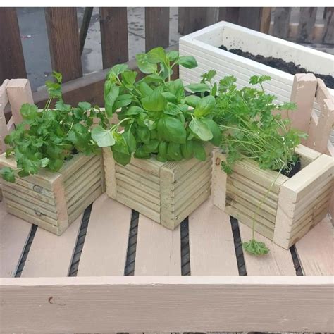 Buy Wooden Decking Herb Planter Boxes Pack Of 3 Online Perfect For