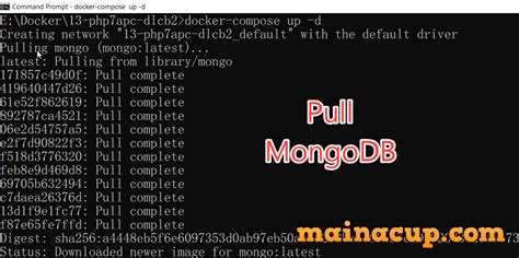 5 2020 10 02 13 00 53 รับสอนเขียนโปรแกรม php mysql php codeigniter framework รับสอนเขียน php