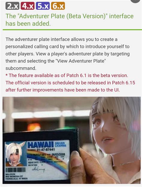 Me In 6 1 When Adventurer Plates Get Released Ffxiv