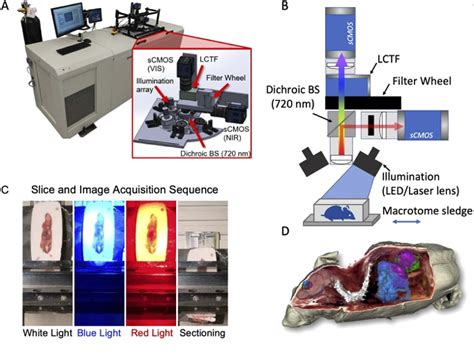 Figure 1 From Hyperspectral Imaging And Spectral Unmixing For Improving Whole Body Fluorescence