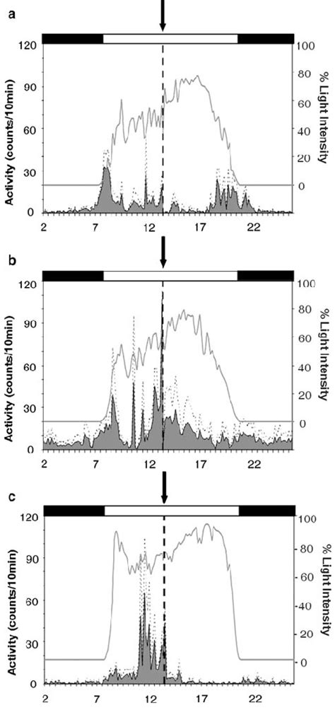 Average Daily Locomotor Activity Waveforms Of Sea Bass Fed Std A Trp