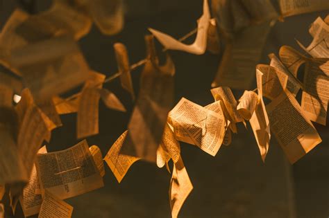 What The Vai Script Reveals About The Evolution Of Writing Sapiens