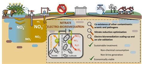 Phd Dissertation Electro Bioremediation Of Nitrate Contaminated Groundwater From Laboratory To