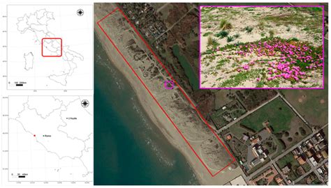 Simplified Outline Of The Semi Automatic Classification Approach Based