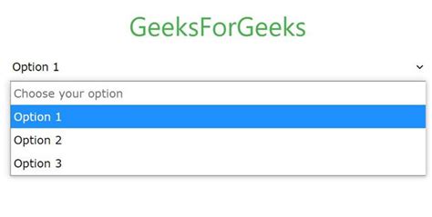 W3 CSS Input GeeksforGeeks