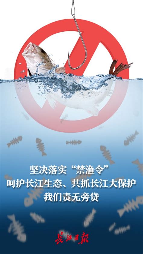 坚决落实“禁渔令”，呵护长江生态、共抓长江大保护我们责无旁贷｜海报武汉新闻中心长江网cjncn