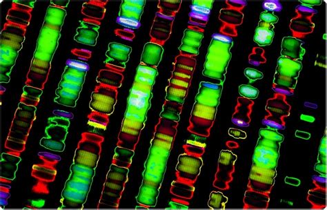 Human Genome Sequenced Using Pocket Sized Device