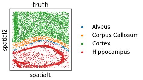 Alignment Tutorial For 8months Mouse Brains — 3d Ot 0 01 Documentation