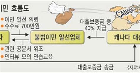 조기유학 자녀 뒷바라지 위해 공문서 위조캐나다 불법 투자이민 성행