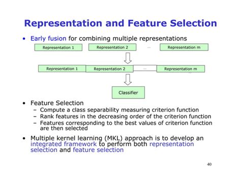 Multiple Kernel Learning Based Approach To Representation And Feature