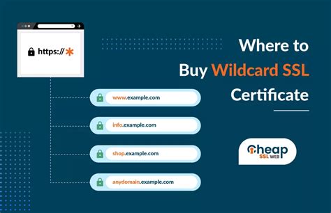 Where To Buy Cheap Wildcard Ssl Certificate In 2025