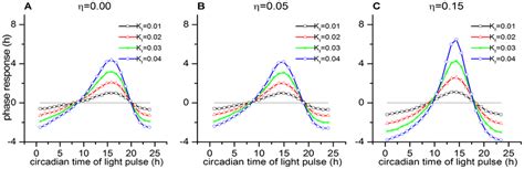 Effect Of Coupling Dispersion On The Phase Response Curve Prc Of The Download Scientific