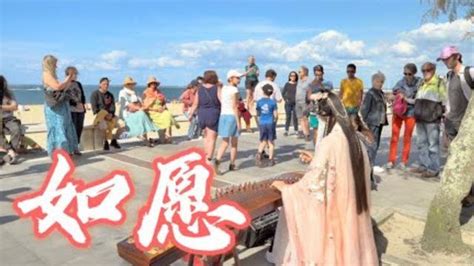 【古筝｜如愿】我愿活成你的愿，愿不枉啊 愿勇往啊，这盛世每一天chinese Instruments Guzheng Cover 碰碰彭碰彭