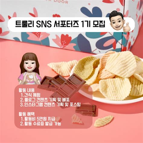 써니힐 펑리수 서포터즈 1기 모집 공모전 대외활동 링커리어