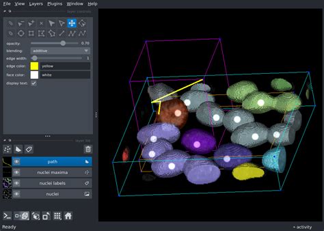 3d Layer Bounding Box Overlay — Napari