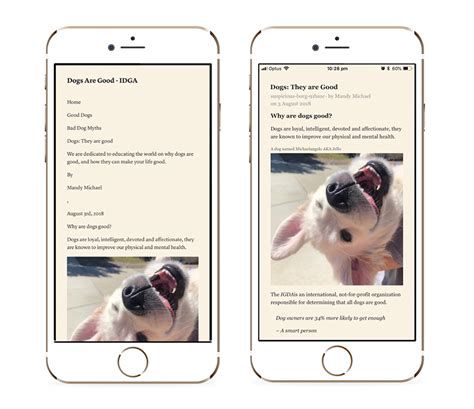 Building Websites For Safari Reader Mode And Other Reading Apps By