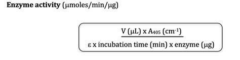 Solved Calculate Enzyme Activity And Enzyme Turnover Number Chegg Com