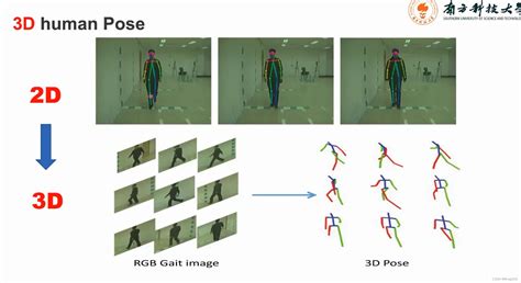 步态识别会议 Csdn博客