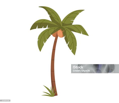 야자수 손으로 그린 벡터 평면 만화 일러스트 레이 션은 흰색 배경에 고립되어 있습니다 이국적인 열대 나무 여름 개체 열대 식물 여름 장식 해변 여행 또는 휴가 개념 0명에