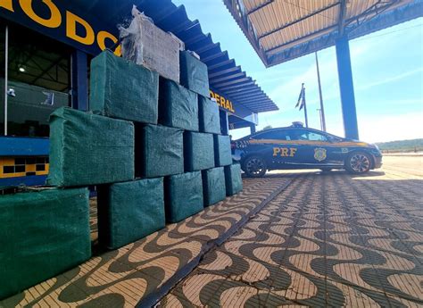 Polícia Rodoviária Federal Em Rondonópolismt Apreende Cocaína
