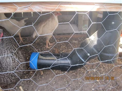 Diy Chicken Duck Feeder Help Construction And Diy Projects Forums