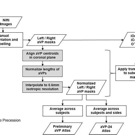 Flow Chart Of Consecutive Steps Involved In Image Normalization And Download Scientific Diagram