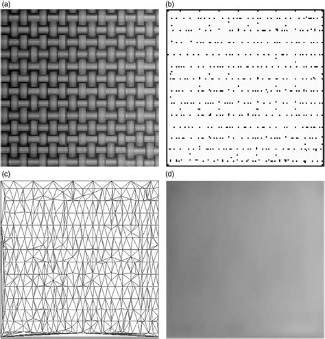 Delaunay Triangulation Based Interpolation A Synthetic Fabric Image