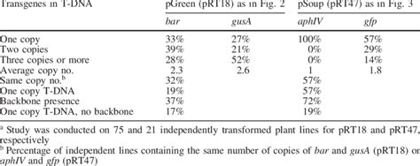 Profiles Of Transgene Copy Number In Pop Ulations A Of Transgenic Rice Download Scientific