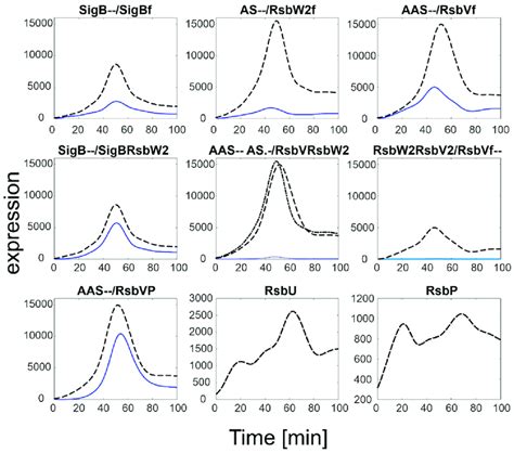 Sigb Regulatory Network Simulation Results Using Default Parameters