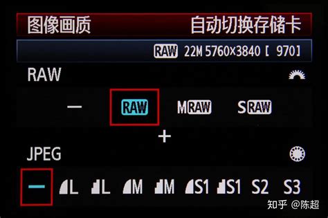 什么是raw 知乎