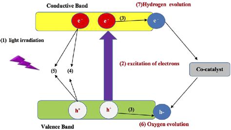 Schematics Of Photocatalytic Water Splitting Download Scientific Diagram