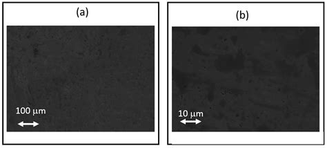 Metals Free Full Text Ultrashort Laser Texturing Of Superelastic